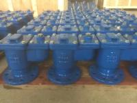 China Support BS 1074 Double Orifice Valves and Fitting with Integrated Isolating Valve Air Release Valve for sale