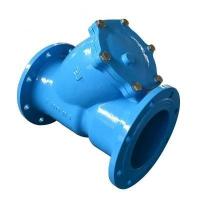 China Port Size with Customer's Requirements Ductile Iron Y Strainer Double Flange Water for sale