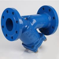 China Ductile Iron Customized Double Flange Water Y Type Strainer DIN/ASME/ASTM/GB Service for sale