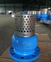 China Customized Service WCB Cast Iron Flanged End Foot Valve for Durable and Fluid Control for sale
