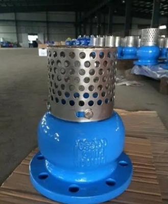 China Customized Service WCB Cast Iron Flanged End Foot Valve for Durable and Fluid Control for sale