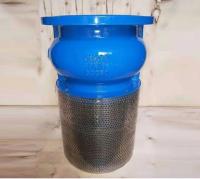 China Customized Service WCB Cast Iron Flanged End Foot Valve for Durable and Fluid Control for sale