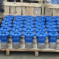 China Customized Service WCB Cast Iron Flanged End Foot Valve for Durable and Fluid Control for sale