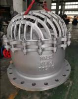 China Stop Structure Ductile Iron Foot Valve with Stainless Steel Screen Vertical Type for sale