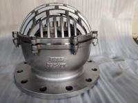 China Cast Iron Water Pump Foot Valve with Stainless Steel 304 Mush PN10 PN16 ANSI and Support for sale