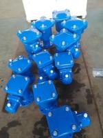 China Water Media Modern Design Automatic Double Orifice Exhaust Gas Quick Release Valve for Air Balance for sale