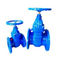 China Industry BS5163/ EN 1171 PN25 Resilient Seated Ductile Iron Gate Valve with Rising Stem for sale