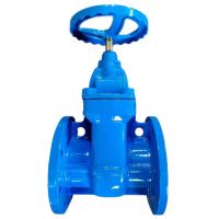 China Industry BS5163/ EN 1171 PN25 Resilient Seated Ductile Iron Gate Valve with Rising Stem for sale