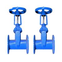 China Y Type Large Diameter Valve Ductile Iron Soft Sealing Flange Gate Valve Z41X-16Q DN300 for sale