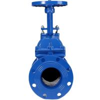 China Manual Y Type Strainer PN10 Ductile Iron Bevel Gear Gate Valve for Russia Market for sale