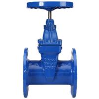 China Y Type Customizable Inside Screw Stem Soft Seal Gate Valve with Stainless Steel Flange for sale