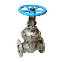 China Y Type DN80 PN16 Carbon Steel Industrial Rising Stem Flange Gate Valve with Pipe Fittings for sale