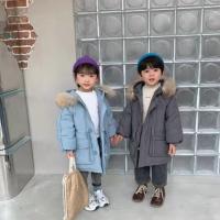 China Children&prime; S Winter Down Coat for Girls and Boys Clothes Waterproof Outdoor Hooded Coat with 2 Colors for sale