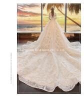 China Hot Selling Bridal Dress Lace Wedding Dress Bride Gowns Trailing Vestido De Noiva 3 Colors for sale