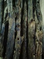 China Nha Trang Vietnam OUD Agarwood Earthy Old Material Random Ornaments Full Of Oil for sale