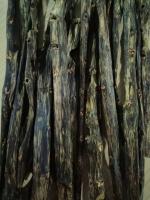 China Raw Earthy Old Material Natural OUD Agarwood  For Ornaments 50g Pack for sale