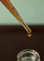 China Authentic OUD Agarwood harvested carefully to provide rich fragrance notes for in perfumes incense and wellness products for sale