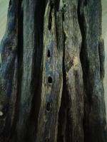 China Natural OUD Agarwood resin with deep rich aroma excellent for crafting perfumes incense and traditional healing products for sale
