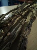 China Natural OUD Agarwood resin with deep rich aroma excellent for crafting perfumes incense and traditional healing products for sale