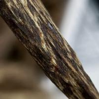 China Authentic OUD Agarwood raw material perfect for essential oil extraction perfume formulation and traditional therapeutic for sale