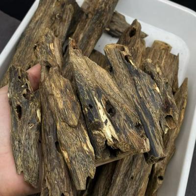 China Authentic OUD Agarwood raw material perfect for essential oil extraction perfume formulation and traditional therapeutic for sale