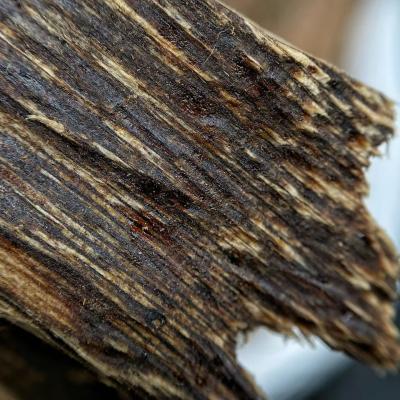 China Authentic OUD Agarwood resin and wood pieces used in crafting fine perfumes incense and traditional medicinal products for sale