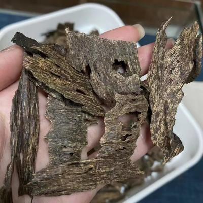 China Authentic OUD Agarwood natural resin harvested sustainably for in perfume making incense and therapeutic aromatic blends for sale