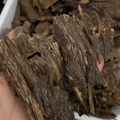China Natural OUD Agarwood resin perfect for essential oil distillation perfume creation and traditional healing formulations for sale