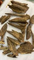 China Fineness OUD Agarwood for Special Occasions Raw Ingredients Other Occasion Special Occasions for sale
