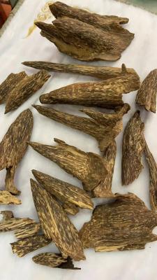 China Fineness OUD Agarwood for Special Occasions Raw Ingredients Other Occasion Special Occasions for sale