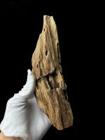 China High grade OUD Agarwood resin perfect for essential oil extraction perfume manufacturing and aromatic incense production for sale