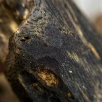 China High grade OUD Agarwood resin perfect for essential oil extraction perfume manufacturing and aromatic incense production for sale