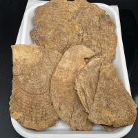 China Natural OUD Agarwood resin and essential oil ideal for in perfume production incense making and holistic health products for sale