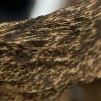 China grade OUD Agarwood natural fragrant wood used in high end perfumery incense manufacturing and holistic wellness products for sale