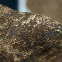 China grade OUD Agarwood natural fragrant wood used in high end perfumery incense manufacturing and holistic wellness products for sale