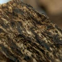 China grade OUD Agarwood natural fragrant wood used in high end perfumery incense manufacturing and holistic wellness products for sale