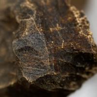 China Bulk supply of authentic OUD Agarwood chips and powder ideal for perfume manufacturing and traditional incense crafting for sale