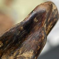 China Natural OUD Agarwood aromatic resin perfect for blending into high end perfumes incense sticks and wellness formulations for sale