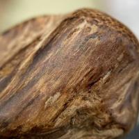 China Natural OUD Agarwood aromatic resin perfect for blending into high end perfumes incense sticks and wellness formulations for sale