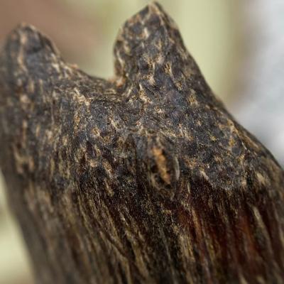 China Top grade OUD Agarwood resin pieces excellent choice for luxury candle making and sophisticated aroma diffuser creations for sale
