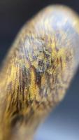 China Natural OUD Agarwood fragrant wood suitable for perfume making incense production and aromatic oil extraction worldwide for sale