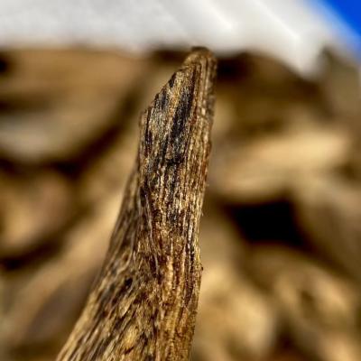 China Bulk OUD Agarwood natural agarwood wood and resin for essential oil extraction perfume and incense product manufacturing for sale