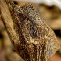 China Bulk OUD Agarwood natural agarwood wood and resin for essential oil extraction perfume and incense product manufacturing for sale