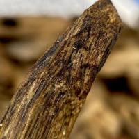 China Bulk OUD Agarwood natural agarwood wood and resin for essential oil extraction perfume and incense product manufacturing for sale