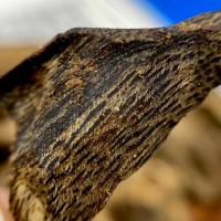 China Bulk OUD Agarwood natural agarwood wood and resin for essential oil extraction perfume and incense product manufacturing for sale