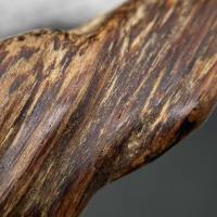 China Pure OUD Agarwood raw material ideal for perfume manufacturing incense making and traditional medicine industries worldwide for sale