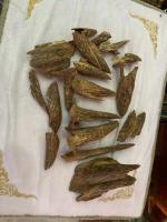 China Pure natural OUD Agarwood resin with rich aroma suitable for perfume production incense making and aromatherapy products for sale