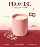 China Promise Scented Candle, Warm Woody Candle, Romantic Home Fragrance, Luxury Aroma Candle, Elegant Decor Candle, Couple Gift Candle for sale