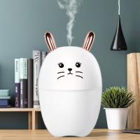 China Customized Anti Dry Burn Mini Ultrasonic Humidifier Aromatherapy Diffuser Ultra Quiet for sale