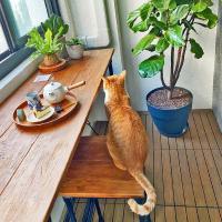 China Versatile Wood Deck Tiles Waterproof Square  For Outdoor Use for sale